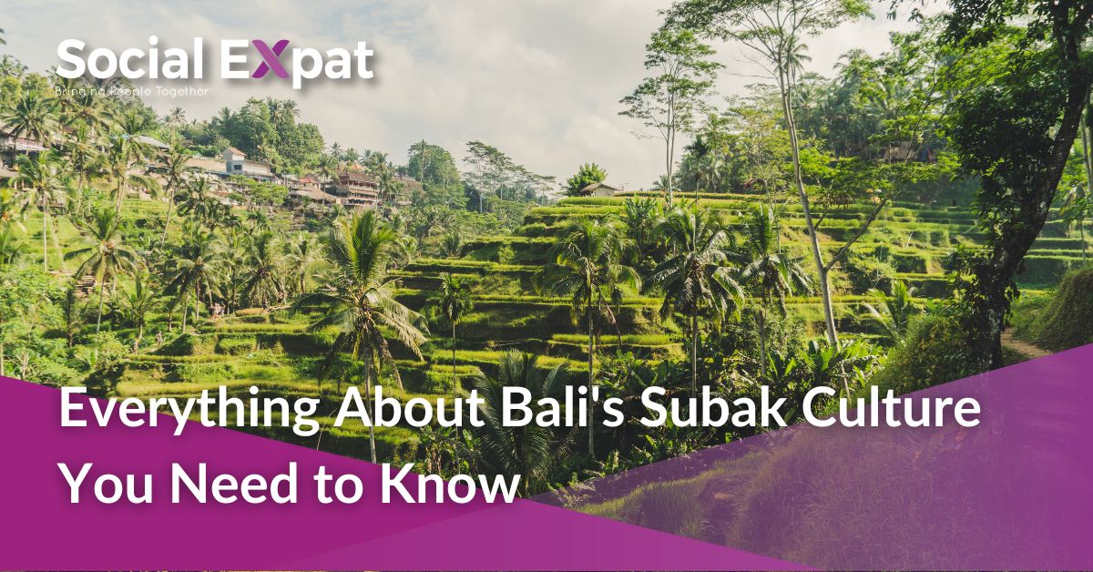 Everything About Bali's Subak Culture You Need to Know | Social Expat