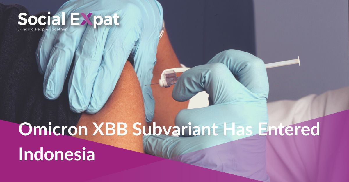 Omicron XBB Subvariant Has Entered Indonesia | Social Expat