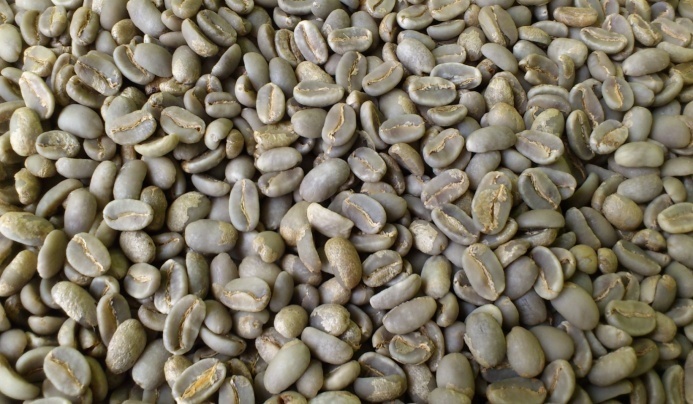 The Allure of Indonesian Coffee: A Look into the Best Coffee Beans in ...
