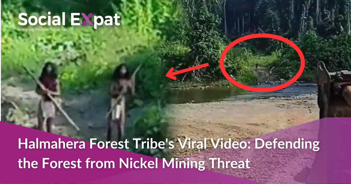 Halmahera Forest Tribe's Viral Video: Defending the Forest from Nickel ...