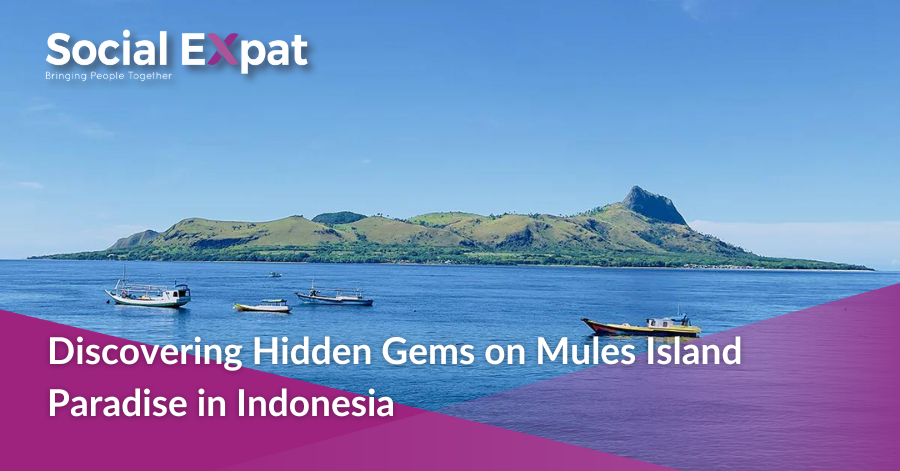 Discovering Hidden Gems on Mules Island Paradise in Indonesia | Social ...