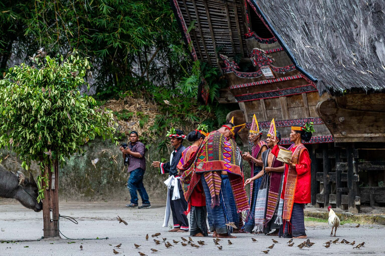 Discovering the Soul of Toba, North Sumatra: The Allure of Batak ...