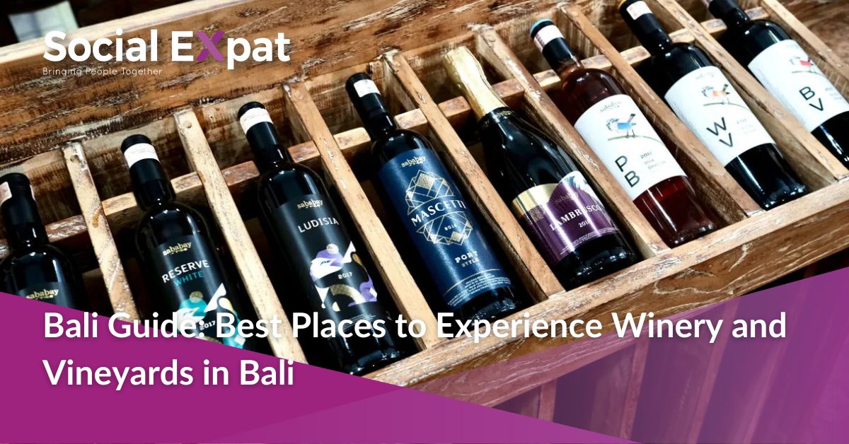 Best Places to Experience Winery and Vineyards in Bali | Social Expat