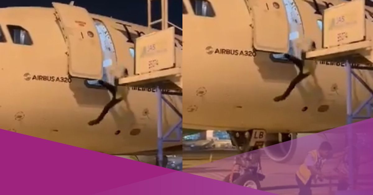 Viral Video: An Officer Falls from an Airplane at an Indonesian Airport