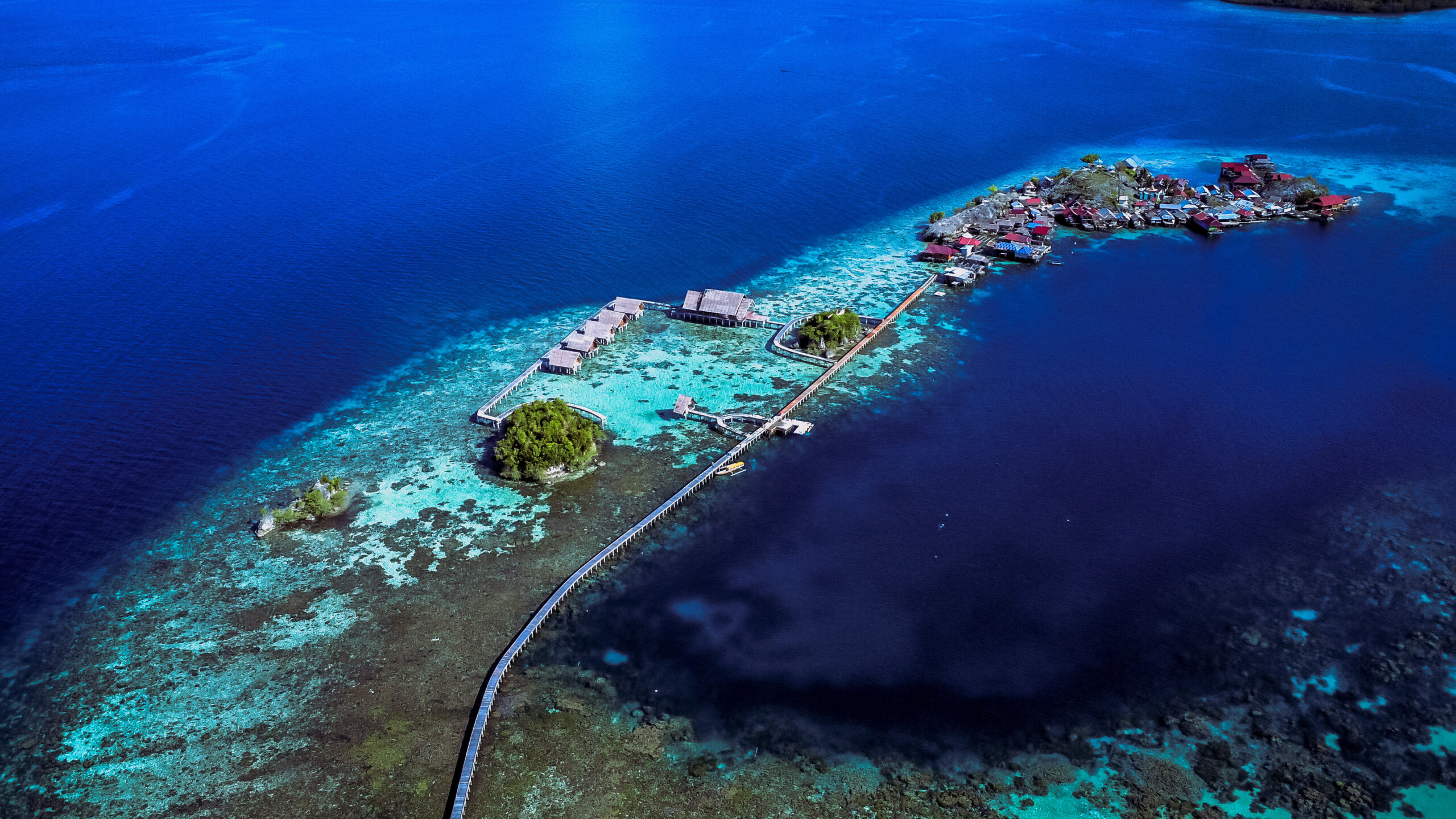 7 Best Things to do in Indonesia For Your Memorable Experience in 2024 ...