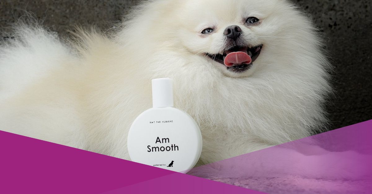 Furry Fragrances: Indonesian Brand Debuts Unique Perfumes for Pets