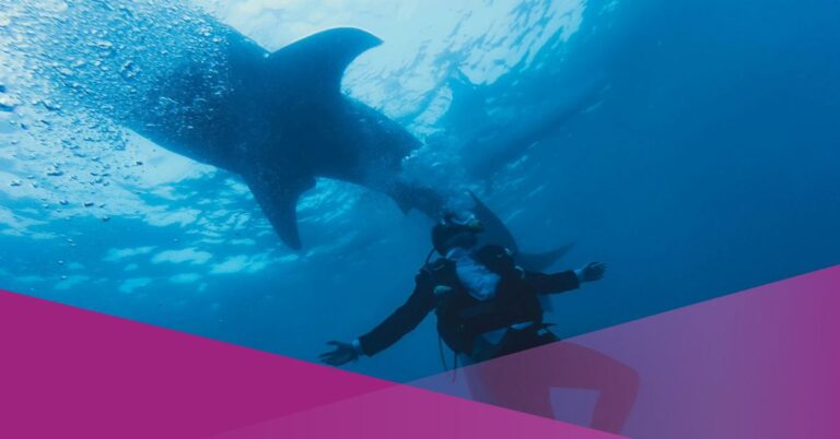 American Tourist Missing on Reong Island, Body Parts Found in Shark