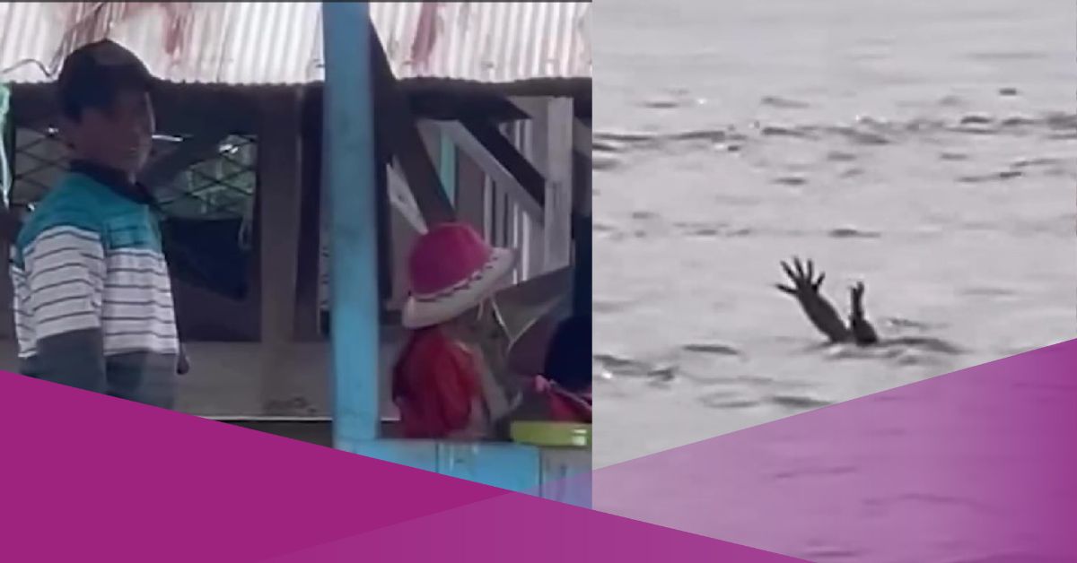 Video Shows Crocodiles in Indonesia Pretend to Drown to Lure Humans