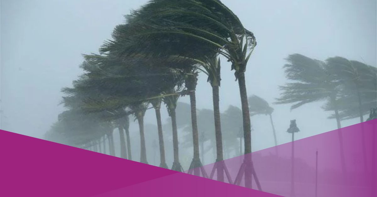 Strong Winds Cause Damage in Bali: Homes Destroyed and Trees Fallen